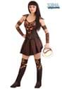 Xena Warrior Princess Women's Costume