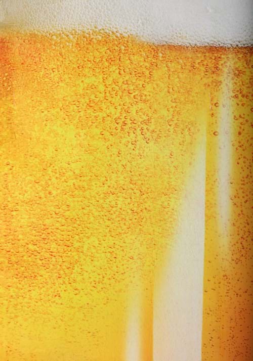 Foamy Beer Mug Costume for Adults | Beverage Costumes