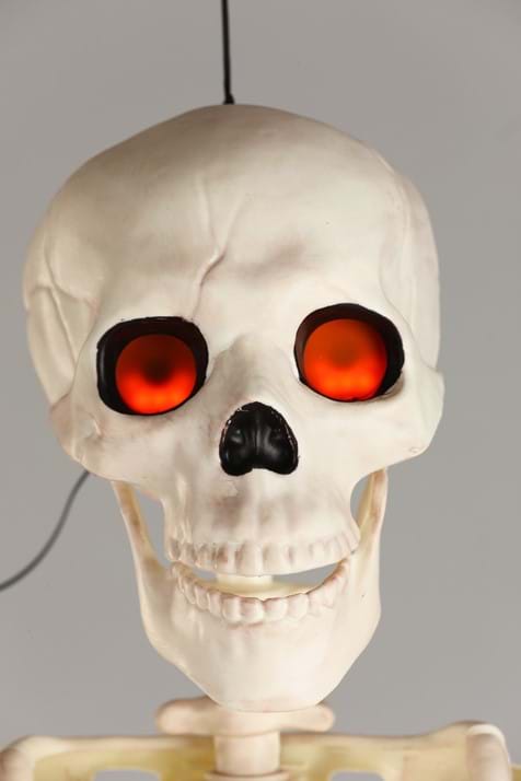 5FT Deluxe Flaming Light Up Eyes & Talking Skeleton Halloween Prop ...