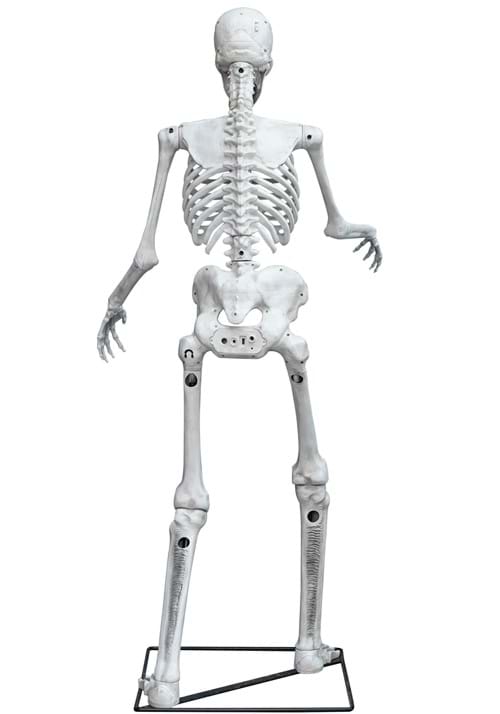 5FT Skeleton Animated Decoration | Halloween Animatronics